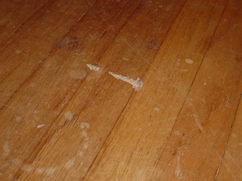 What's The Best Way to Fix Gouges and Cracks in My Hardwood Floors ...